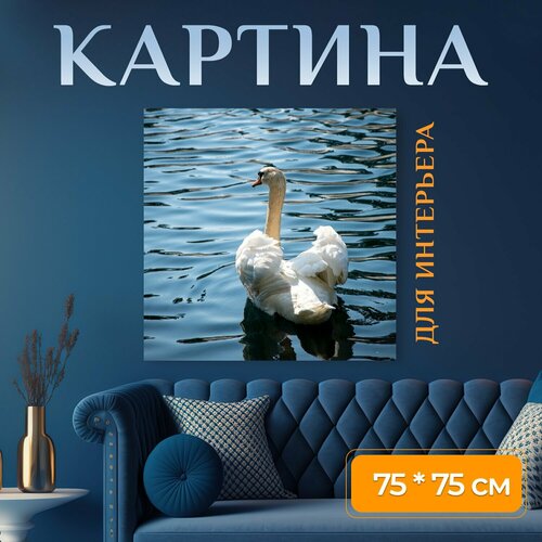 Картина на холсте "Лебедь, немой лебедь, белый лебедь" на подрамнике 75х75 см. для интерьера