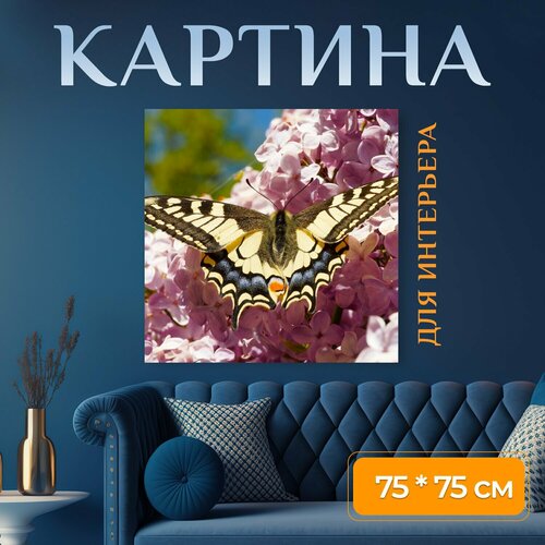 Картина на холсте "Ласточкин хвост, парусник кресфонтес, бабочки" на подрамнике 75х75 см. для интерьера