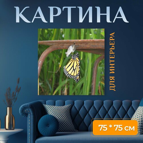 Картина на холсте "Бабочка, рождение, кокон" на подрамнике 75х75 см. для интерьера