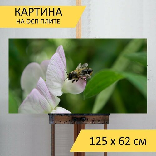 Картина на ОСП 125х62 см. "Пчела, макрос, цветок" горизонтальная, для интерьера, с креплениями