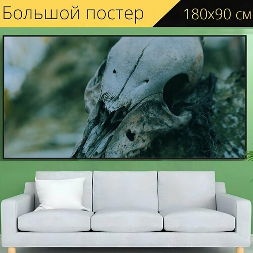 Большой постер "Страшный, животное, череп" 180 x 90 см. для интерьера