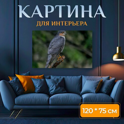 Картина на холсте "Птица, природа, животное" на подрамнике 120х75 см. для интерьера