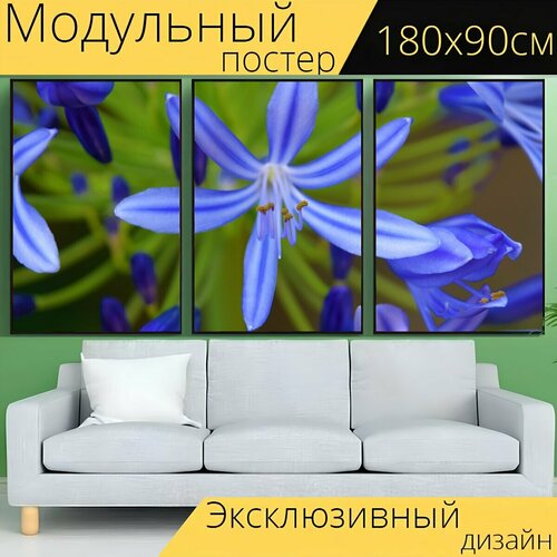 Модульный постер "Цветок лаванды, вот это да, ботанический" 180 x 90 см. для интерьера