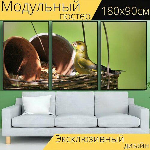 Модульный постер "Зеленушка, место кормления, собирательство" 180 x 90 см. для интерьера