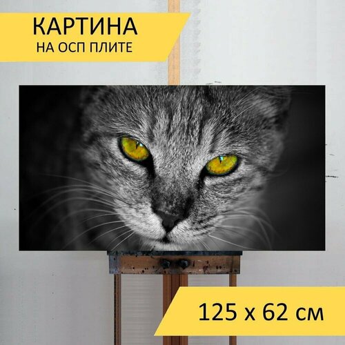 Картина на ОСП 125х62 см. "Кошка, портрет, глядя" горизонтальная, для интерьера, с креплениями