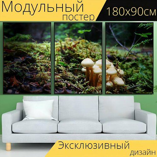 Модульный постер "Грибы, лесная земля, лесные грибы" 180 x 90 см. для интерьера
