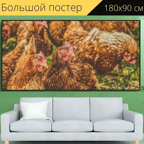 Большой постер "Курица, домашняя птица, свободный ход" 180 x 90 см. для интерьера