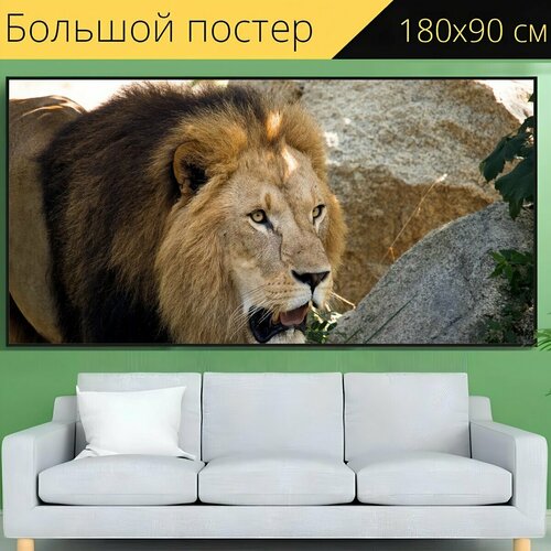Большой постер "Лев, хищник, мужской" 180 x 90 см. для интерьера