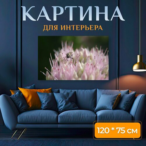 Картина на холсте "Насекомое, завод, флора" на подрамнике 120х75 см. для интерьера