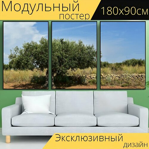Модульный постер "Оливковое дерево, оливковое поле, средиземноморье" 180 x 90 см. для интерьера