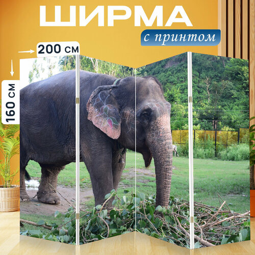 Ширма перегородка с принтом "Слон, одомашненный, индия" на холсте - 200x160 см. для зонирования, раскладная