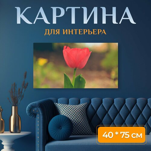 Картина на холсте "Красный, тюльпан, сад" на подрамнике 75х40 см. для интерьера