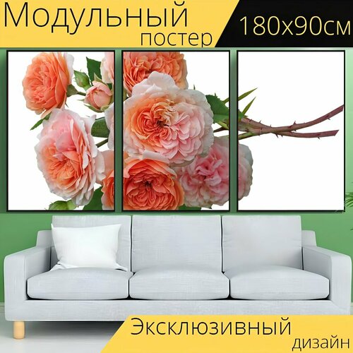 Модульный постер "Розы, цветы, ароматный" 180 x 90 см. для интерьера