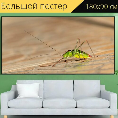 Большой постер "Кузнечик, насекомое, зеленое насекомое" 180 x 90 см. для интерьера