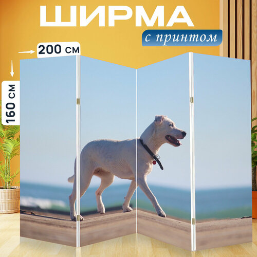 Ширма перегородка с принтом "Собака, животное, бег" на холсте - 200x160 см. для зонирования, раскладная