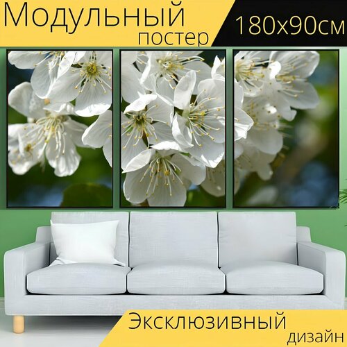 Модульный постер "Цветы, цветы яблони, маленькие белые цветы" 180 x 90 см. для интерьера