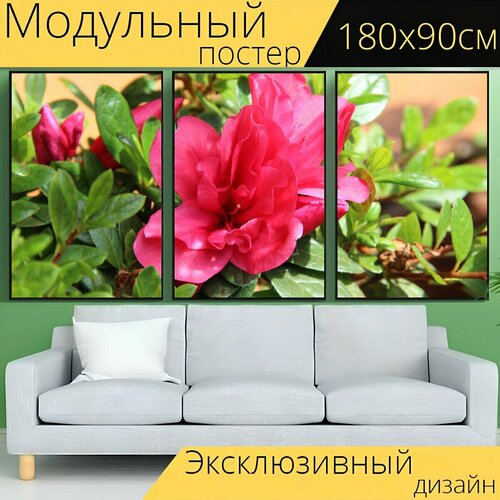Модульный постер "Розовый, цветок, завод" 180 x 90 см. для интерьера