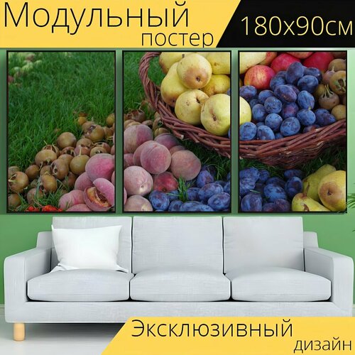 Модульный постер "Фрукты, корзина фруктов, еда" 180 x 90 см. для интерьера