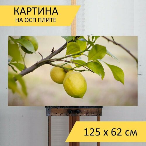 Картина на ОСП 125х62 см. "Лимоны, завод, дерево" горизонтальная, для интерьера, с креплениями