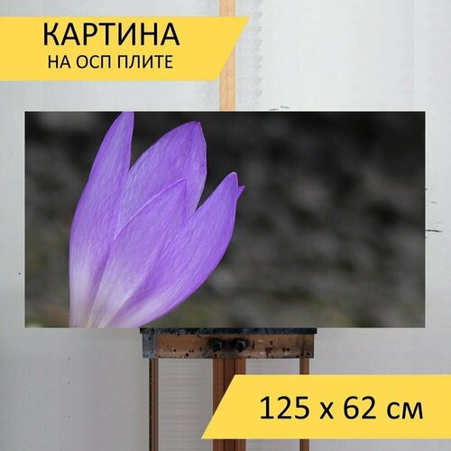Картина на ОСП 125х62 см. "Фиолетовый, цветок, осень" горизонтальная, для интерьера, с креплениями