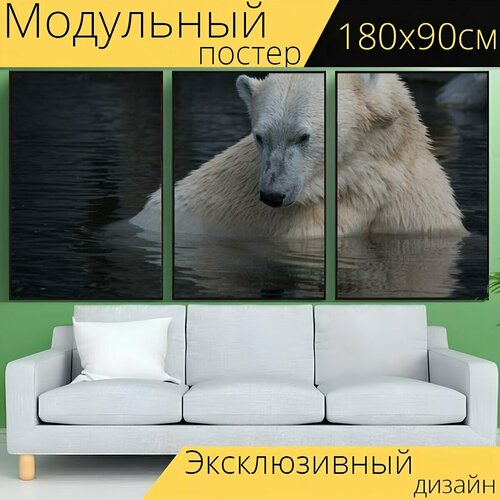 Модульный постер "Природа, полярный медведь, белый" 180 x 90 см. для интерьера