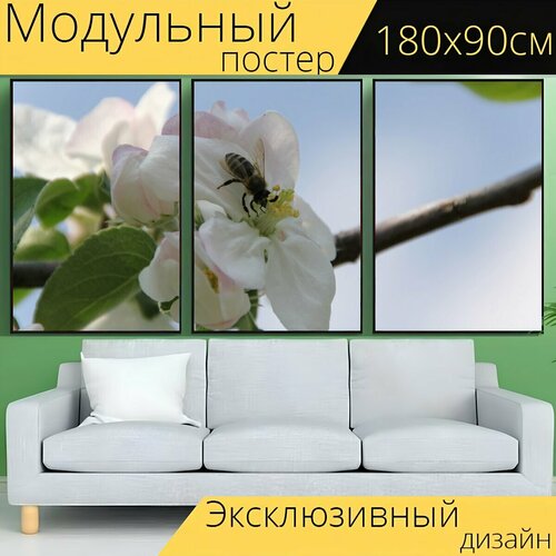 Модульный постер "Яблоневый цвет, пчела, весна" 180 x 90 см. для интерьера
