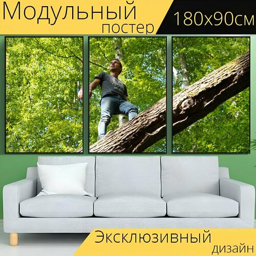 Модульный постер "Древесина, дерево, лес" 180 x 90 см. для интерьера