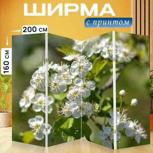 Ширма перегородка с принтом "Дерево, ветвь, цветы" на холсте - 200x160 см. для зонирования, раскладная