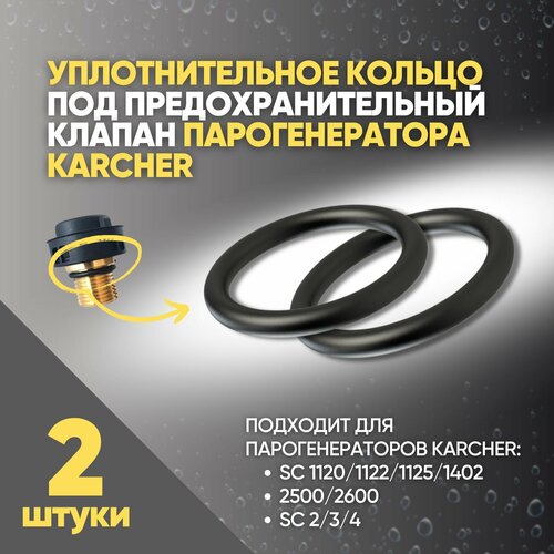 Karcher Sc Уплотнительное кольцо пробки пароочистителя 22*3