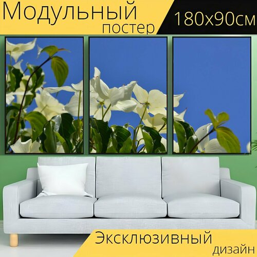Модульный постер "Расцветает, белый, небеса" 180 x 90 см. для интерьера