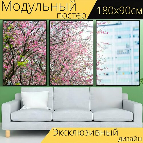 Модульный постер "Сакура, вишни, вишня в цвету" 180 x 90 см. для интерьера