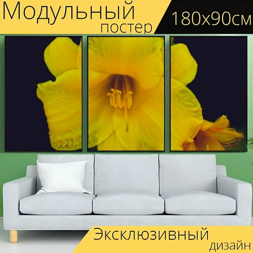 Модульный постер "Желтый цветок, темный, желтый" 180 x 90 см. для интерьера