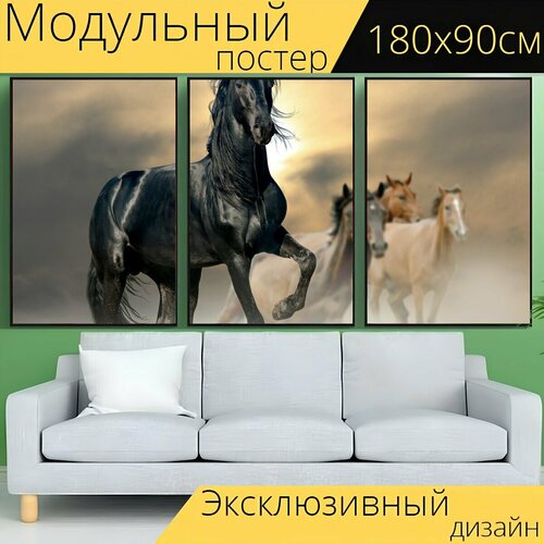 Модульный постер "Черная лошадь, животные, лошади" 180 x 90 см. для интерьера
