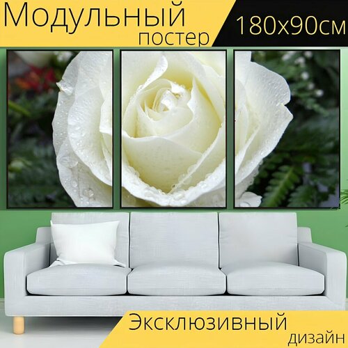 Модульный постер "Белая роза, все святые, день всех святых" 180 x 90 см. для интерьера