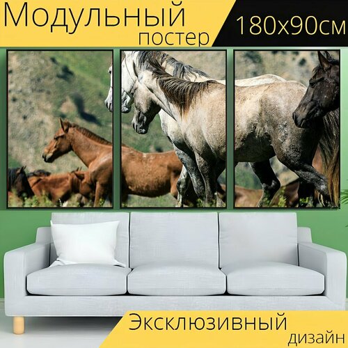 Модульный постер "Лошади, животные, поле" 180 x 90 см. для интерьера