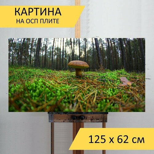 Картина на ОСП 125х62 см. "Гриб, гнедой гриб, лес" горизонтальная, для интерьера, с креплениями