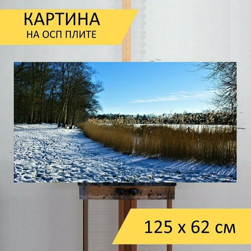 Картина на ОСП 125х62 см. "Тростник, снег, зима" горизонтальная, для интерьера, с креплениями