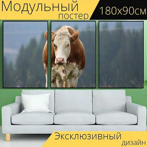 Модульный постер "Корова, милостыня, симментальский скот" 180 x 90 см. для интерьера