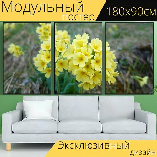 Модульный постер "Цветок, весна, желтый" 180 x 90 см. для интерьера