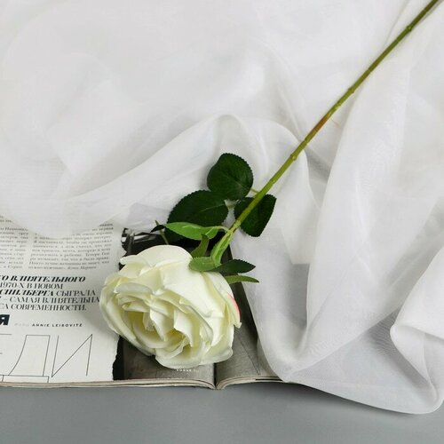 Цветы искусственные "Роза Вивальди" d-7 50 см, белый (комплект из 12 шт)