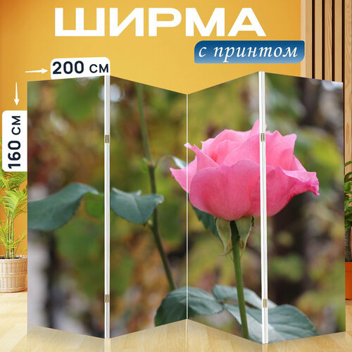 Ширма перегородка с принтом "Розовый, роза, цветочный" на холсте - 200x160 см. для зонирования, раскладная