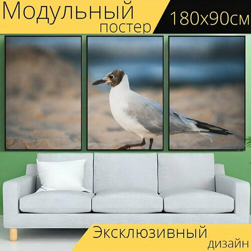 Модульный постер "Озёрная чайка, песок, пляж" 180 x 90 см. для интерьера