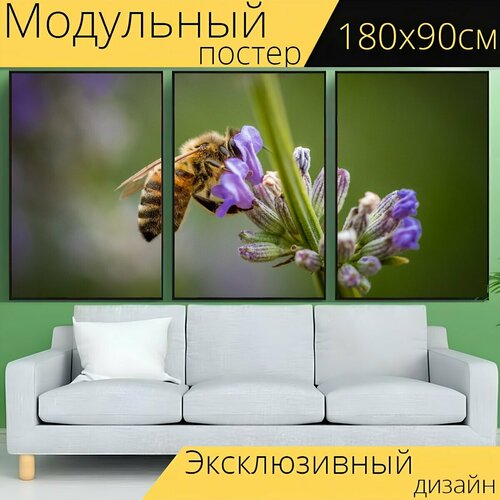 Модульный постер "Пчела, лаванда, насекомое" 180 x 90 см. для интерьера