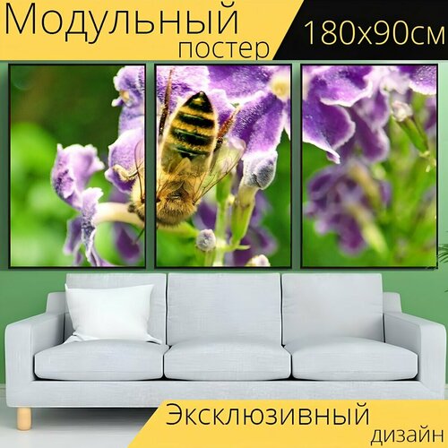 Модульный постер "Пчела, насекомое, цветочная пыльца" 180 x 90 см. для интерьера