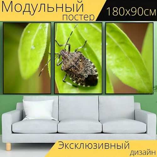 Модульный постер "Серый сад черепашка, насекомое, ошибка" 180 x 90 см. для интерьера