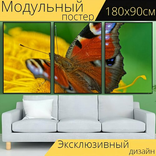 Модульный постер "Лето, макро, бабочка" 180 x 90 см. для интерьера