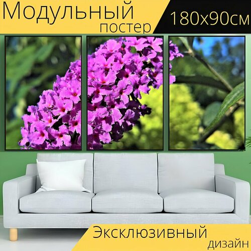 Модульный постер "Летний сиреневый, цветы, фиолетовые цветы" 180 x 90 см. для интерьера