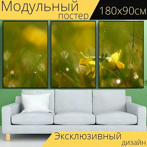 Модульный постер "Цветок, желтый, утренняя роса" 180 x 90 см. для интерьера