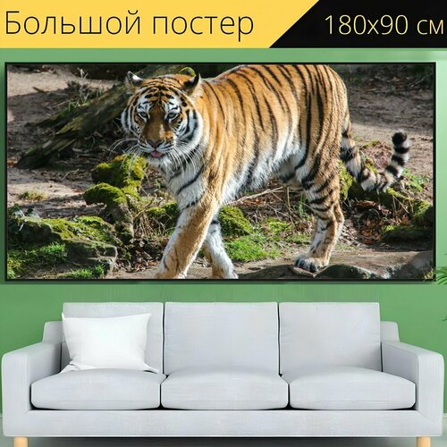 Большой постер "Дикая природа, тигр, хищник" 180 x 90 см. для интерьера
