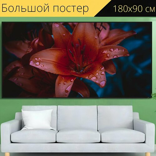 Большой постер "Водяная лилия, цветок, блум" 180 x 90 см. для интерьера